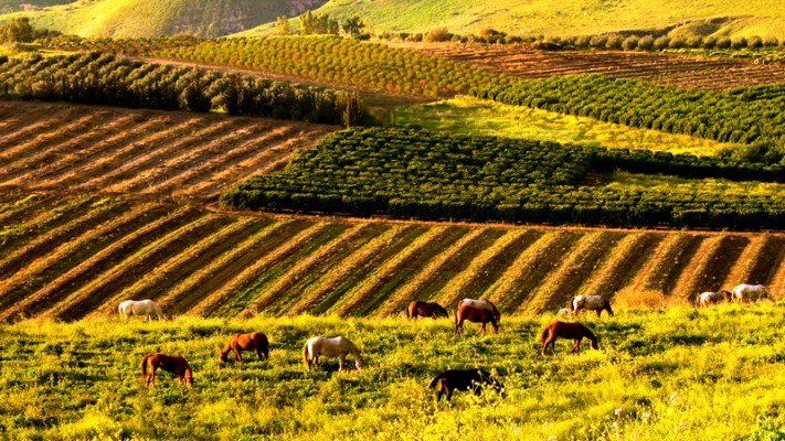 How to take the perfect landscape shot: 10 expert photography tips ...