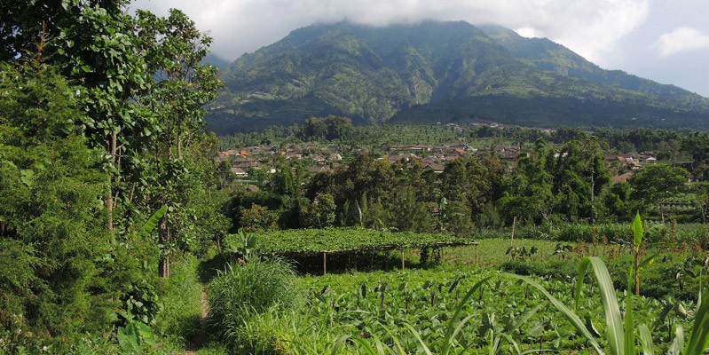 9 things you'll see on a bike ride through Yogyakarta | The Good Times ...