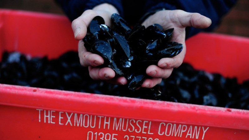 A Guide to Exmouth, WA: Home of the Ningaloo Reef | Intrepid Travel Blog