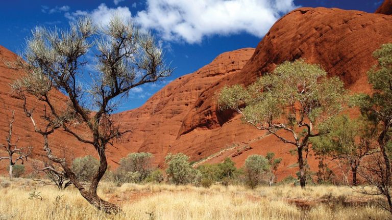 4 Places to Discover in Australia's Red Centre | Intrepid Travel Blog ...