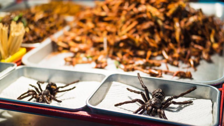 Should you eat Spiders in Cambodia? | Intrepid Travel Blog - The Journal