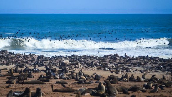 9 places you need to visit in Namibia | The Good Times by Intrepid