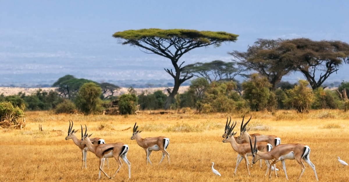 Why rural Kenya stole my heart | Intrepid Travel Blog