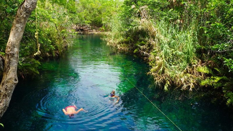 Exploring Mexico's Cenotes & Swimming Holes | Intrepid Travel Blog
