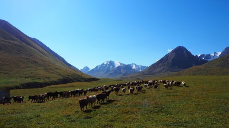 Kyrgyzstan: Travelling in The Land of The Nomads | Intrepid Travel Blog