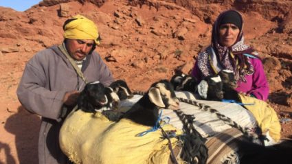 Walking with Berber Nomads in Morocco | Intrepid Travel Blog