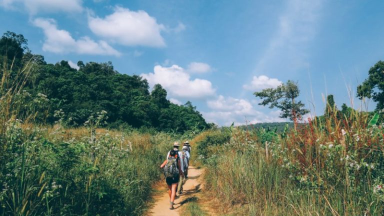 Hiking Cambodia's Cardamom Mountains | Intrepid Travel Blog
