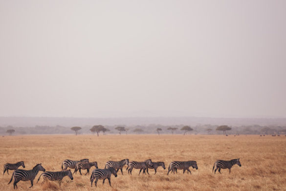 Much more than a desert: A trip into the Sahara | Intrepid Travel Blog ...