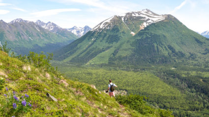 Alaska Travel Guide: Everything You Need To Know | Intrepid Travel Blog