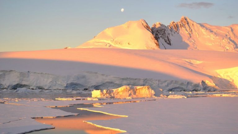 Arctic vs. Antarctic Cruises: Choosing Your Polar Trip | Intrepid ...