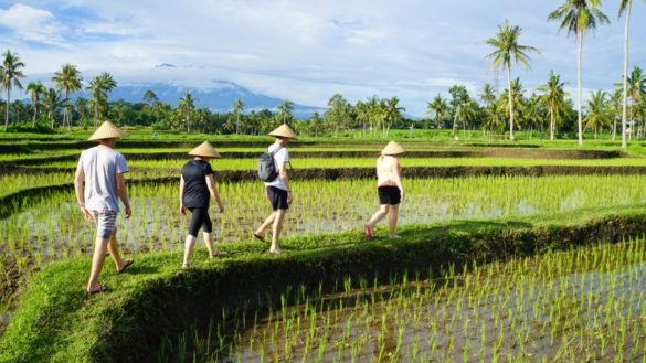 10 Essential Places to Visit in Java, Indonesia | Intrepid Travel Blog