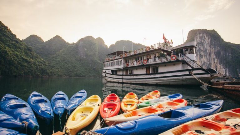 What Is Carbon Offsetting And Why Does It Matter | Intrepid Travel Blog