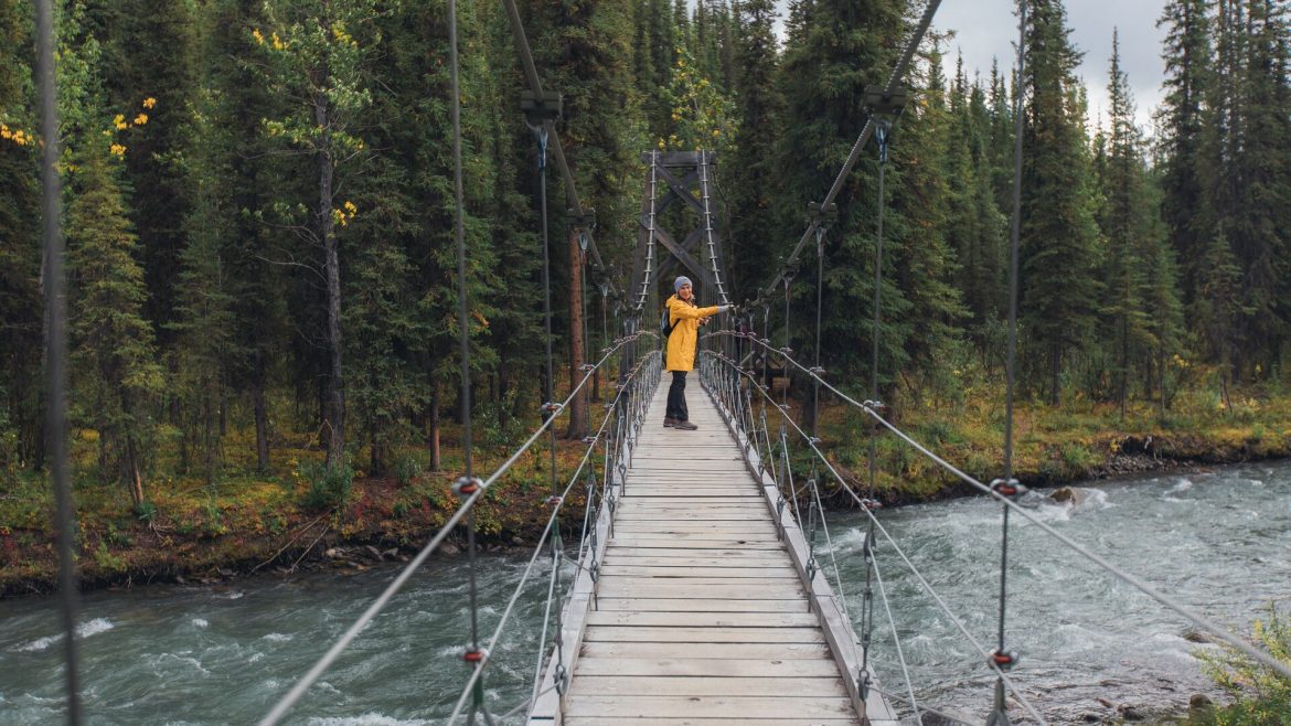 The 7 Best Hikes in Denali National Park | The Good Times by Intrepid