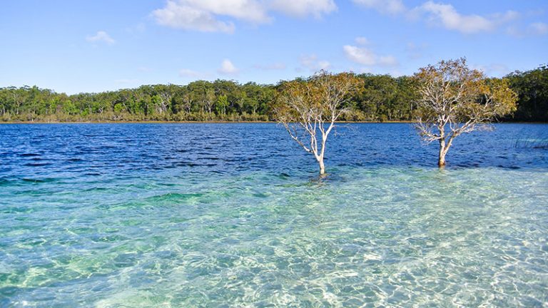 Top things to do in Fraser Island | The Good Times by Intrepid