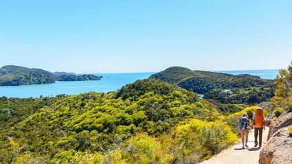 7 breathtaking Nelson walks | Intrepid Travel Blog