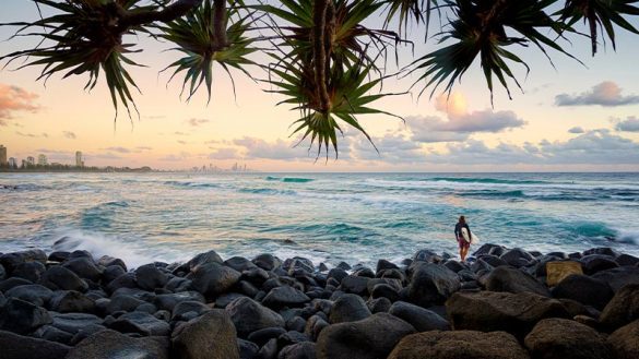 Best nature walks on the Gold Coast | Intrepid Travel Blog