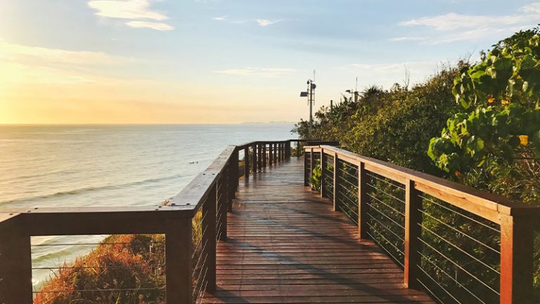 Best nature walks on the Gold Coast | Intrepid Travel Blog