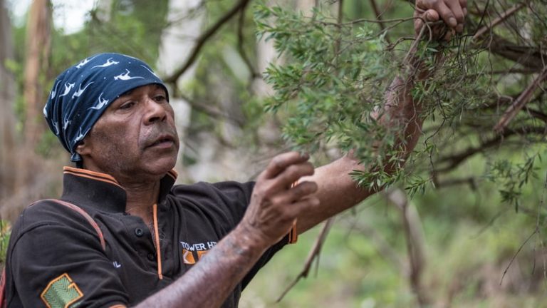 6 First Nations bush foods you need to try in Australia