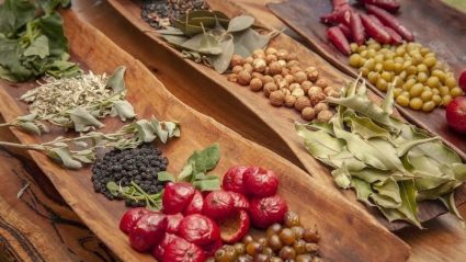 6 First Nations bush foods you need to try in Australia