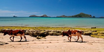 5 of the best Comoros Islands beaches | The Good Times by Intrepid