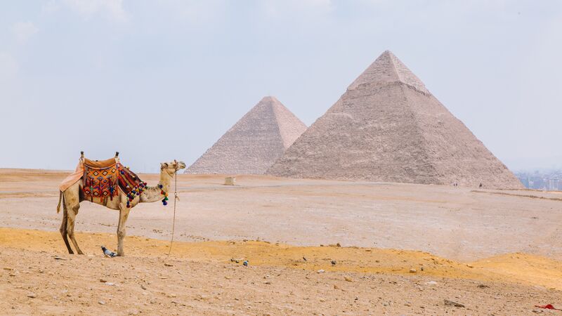 Egypt vs Morocco: where to next? | The Good Times by Intrepid