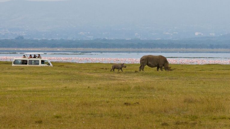 10 ways to get closer to nature with Intrepid | Intrepid Travel Blog