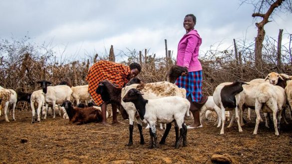 Meet the woman empowering Kenya's rural communities | Intrepid Travel