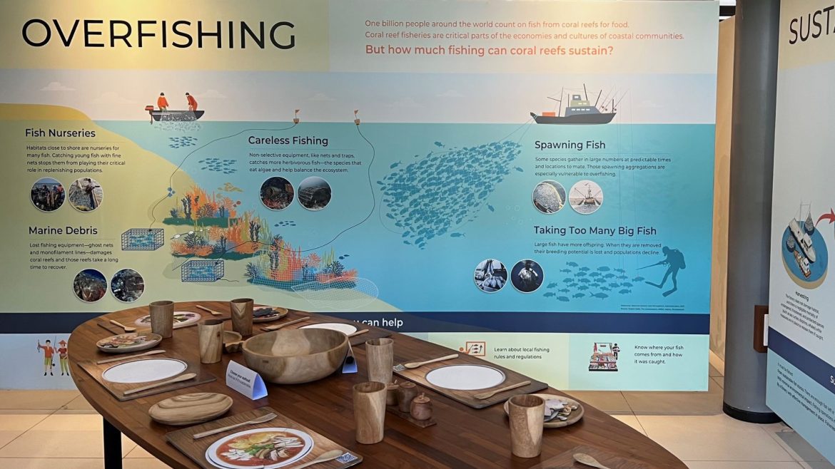 How Bali's Coral Triangle Center is restoring the region's reefs