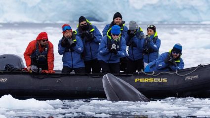 Pro tips from an Antarctica photography guide | Intrepid Travel Blog