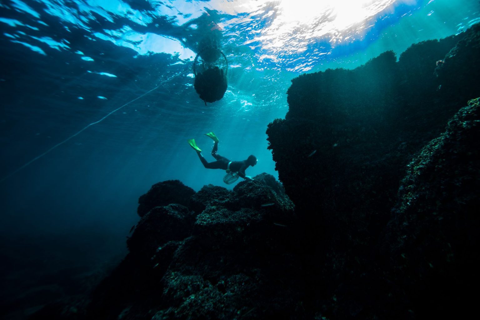 Dive into tradition with South Korea's fearless haenyeo community | The ...