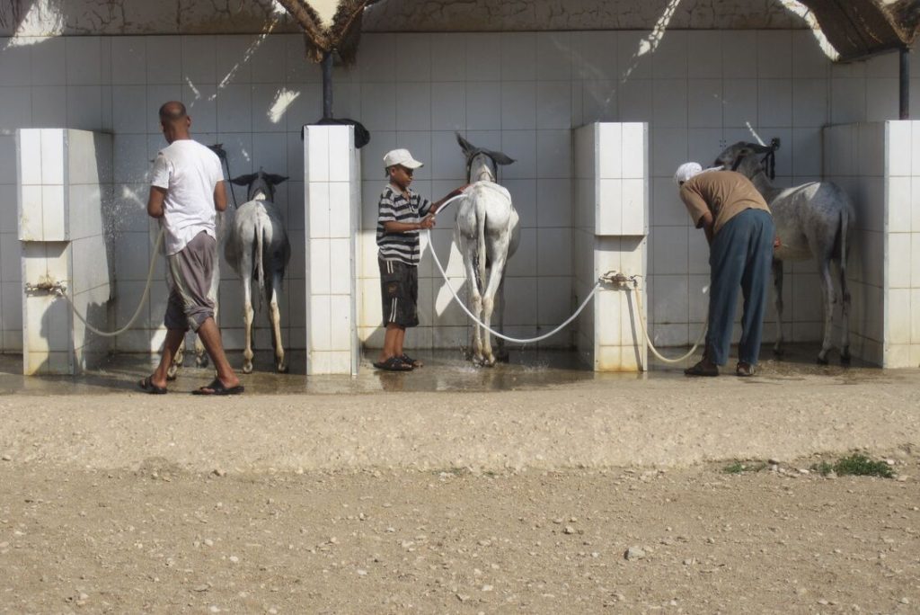 Intrepid Foundation keeps getting better