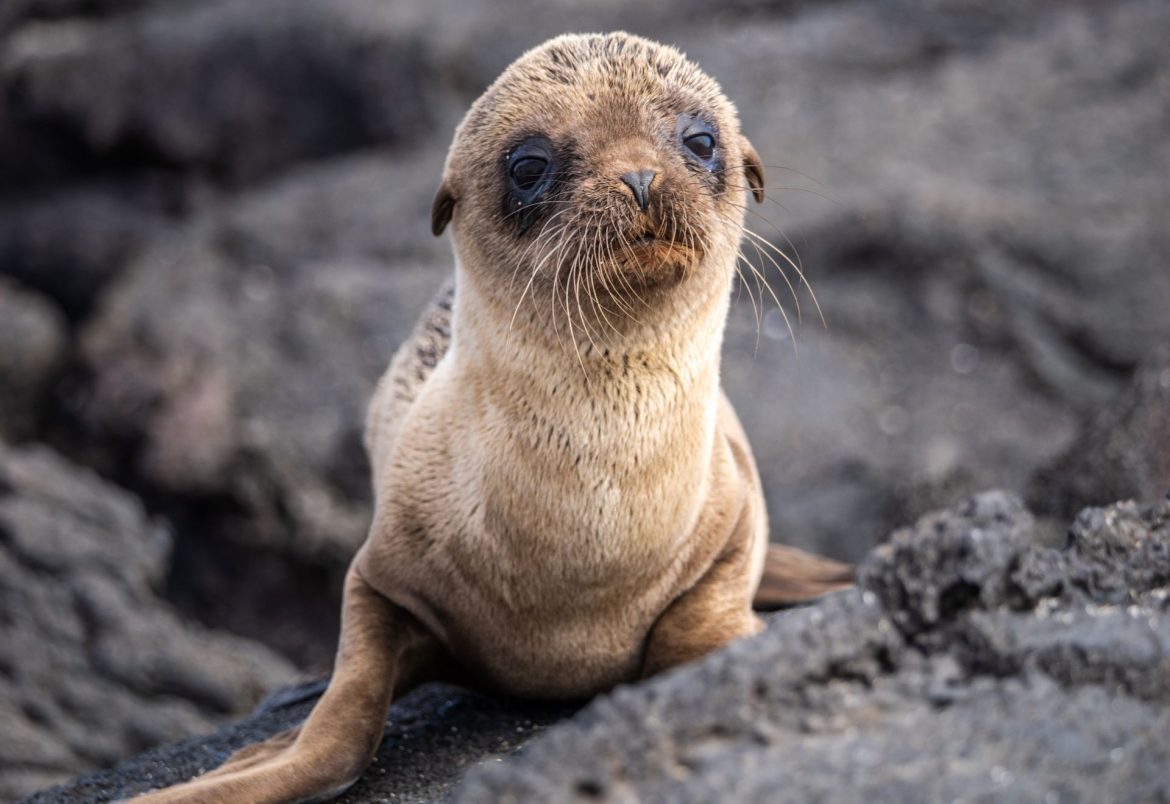 Intrepid’s photography experts share their best travel photo tips | The Good Times by Intrepid