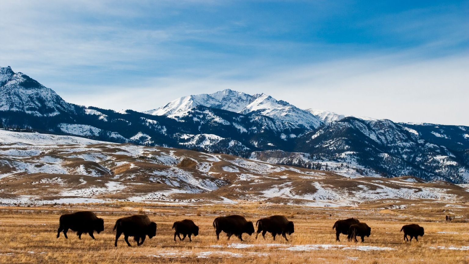 Yellowstone vs Yosemite: Which National Park to Visit? | The Good Times ...
