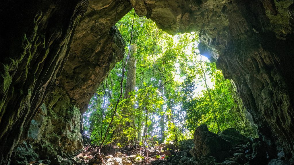 Time travel in Malaysia: Trekking into the distant past in Ulu Muda ...