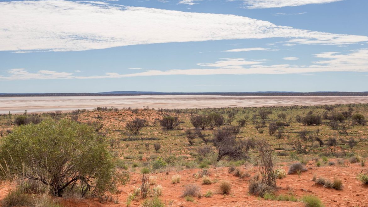 Good for people, good for Country: meet The Intrepid Foundation's ...