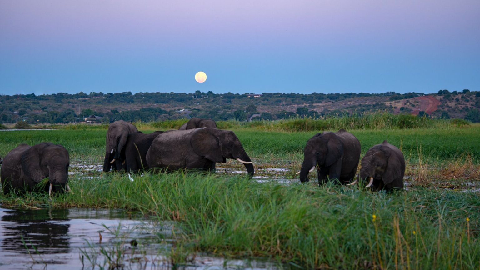 Introducing The Intrepid List | The Good Times by Intrepid