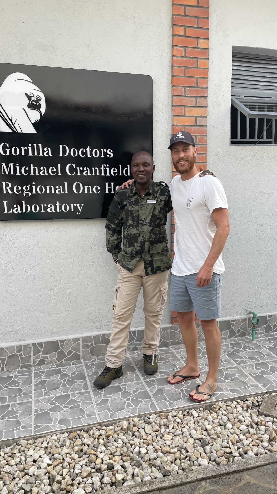 Is habituation for tourism a good thing for mountain gorillas? | The ...