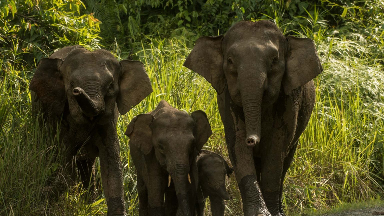 12 new ways to get closer to nature | The Good Times by Intrepid