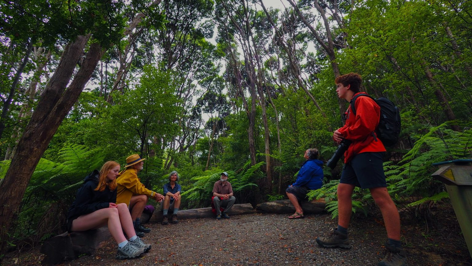 How Forest & Bird is spreading the word about conservation beyond NZ | The Good Times by Intrepid