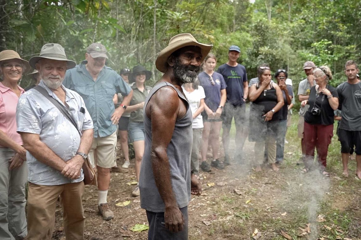 Rainforest Rescue's plans to restore the Daintree Rainforest | The Good ...