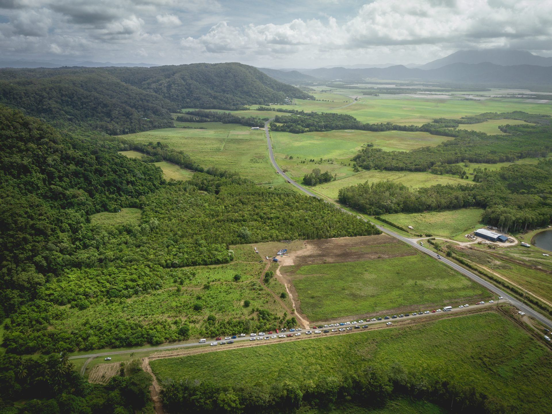 Rainforest Rescue's plans to restore the Daintree Rainforest - Som2ny ...