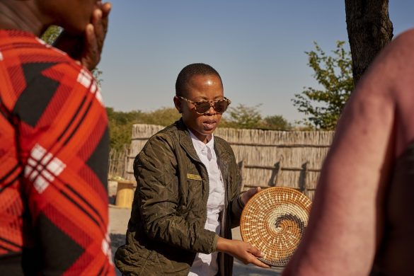 6 new trips and experiences in the US and Canada for 2026 | The Good Times by Intrepid