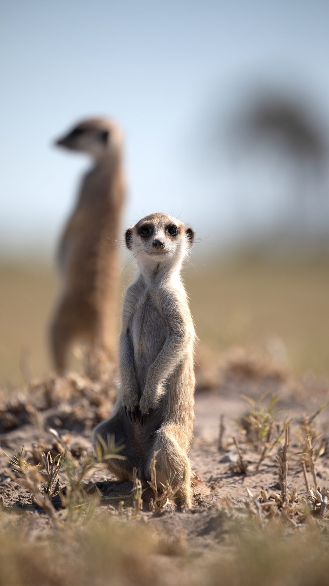 15 new ways to get closer to nature in 2026 | The Good Times by Intrepid