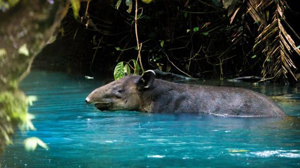 15 new ways to get closer to nature in 2026 | The Good Times by Intrepid