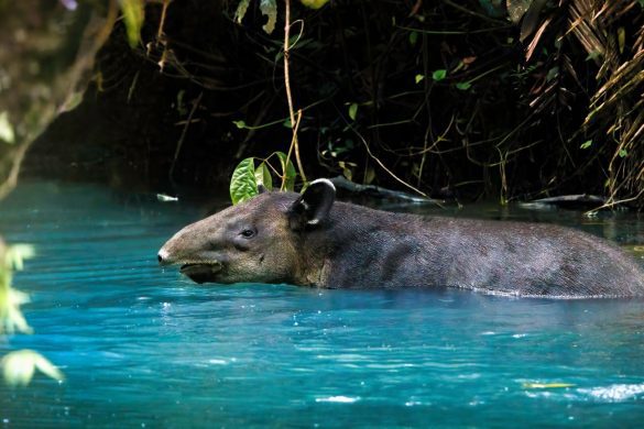 6 new trips and experiences in the US and Canada for 2026 | The Good Times by Intrepid