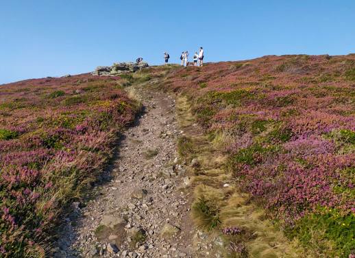 Discover Aboriginal culture in Queensland | Intrepid Travel Blog - The ...