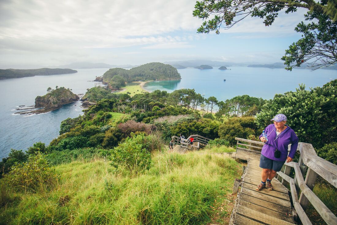 Enchanting Northland | Intrepid Travel AU