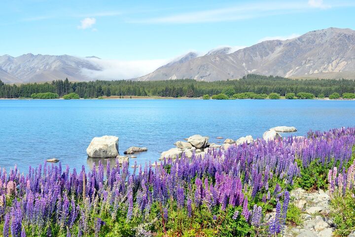 Intrepid deepens commitment to Aotearoa with full acquisition of Haka ...