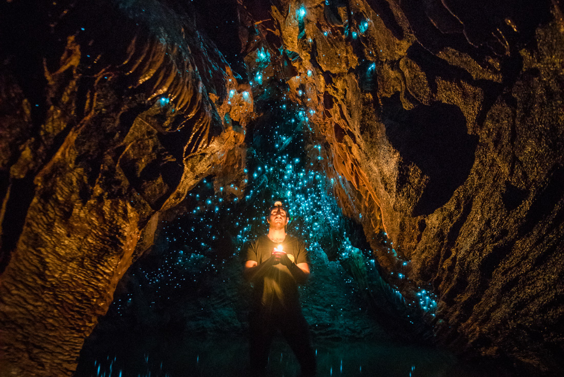 Premium New Zealand North Island | Intrepid Travel EN