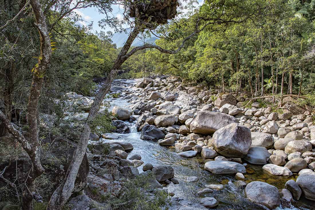 East Coast Australia Adventure: Rainforest & Reefs - 19 Days | Intrepid ...
